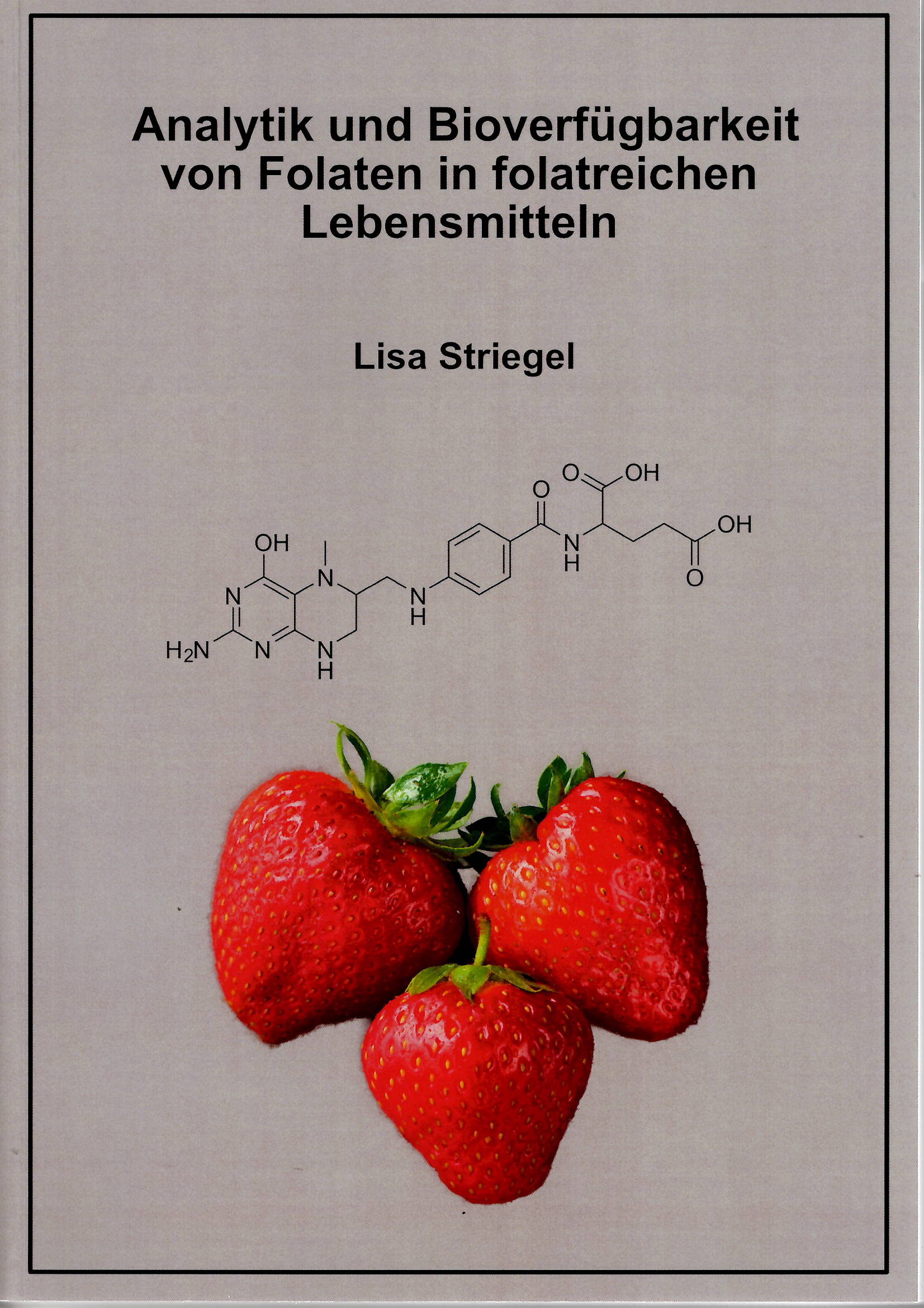 rypublik.de – Angebote des Verlags RYPUBLIK: Dissertationen, Reiseberichte